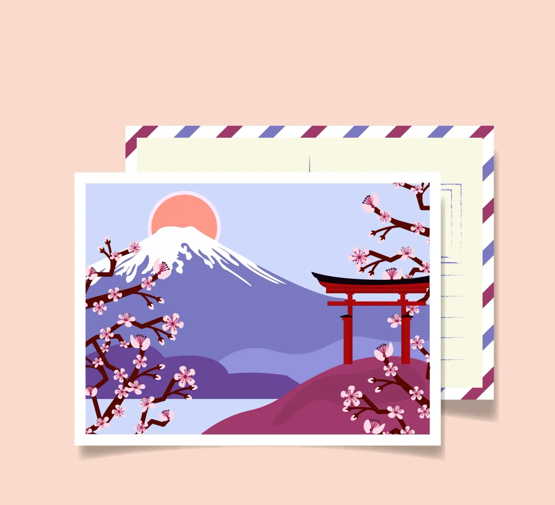 Contact - Ali in Japan